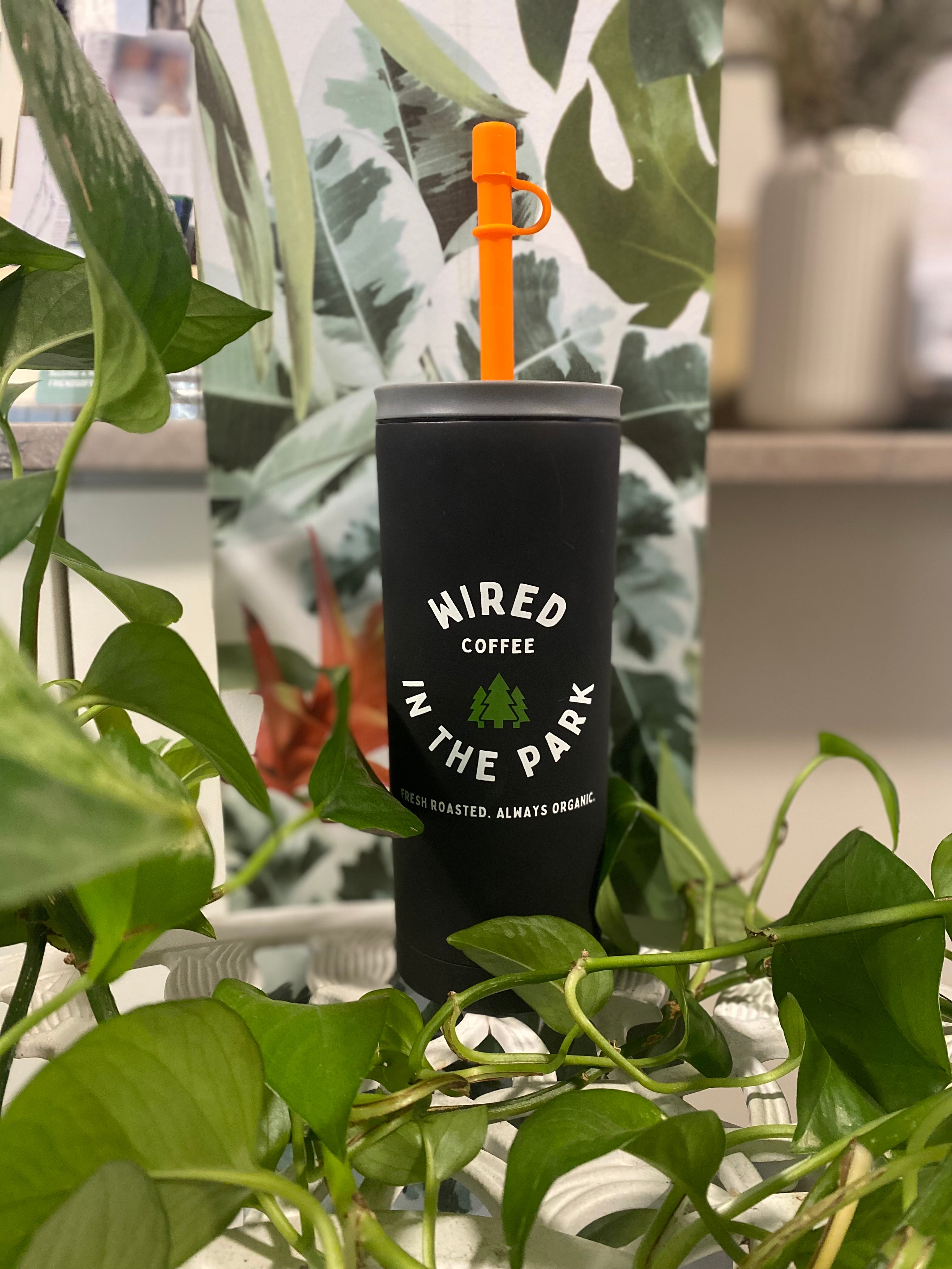 Purchase Stainless Steel Sippy- Wired Coffee – Wired Coffee